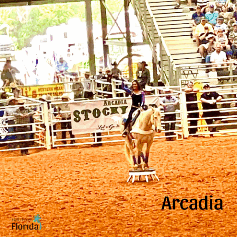 Arcadia - Hello From Florida!