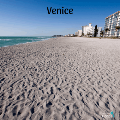 North Port - Hello From Florida!